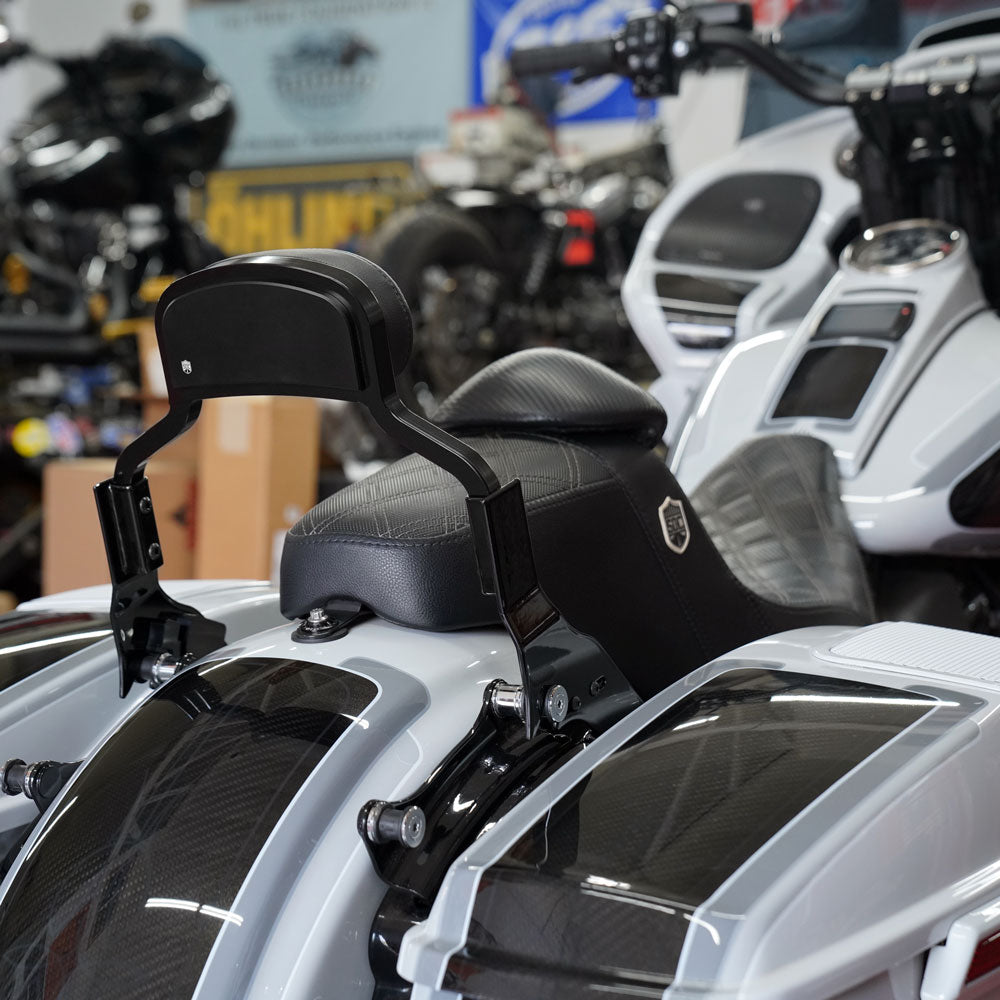 Bagger Sissy Bar – San Diego Customs